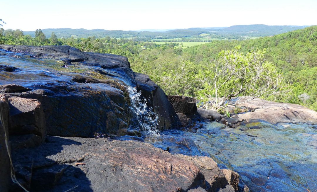 sunshine coast bushland - Bushland Conservation Management